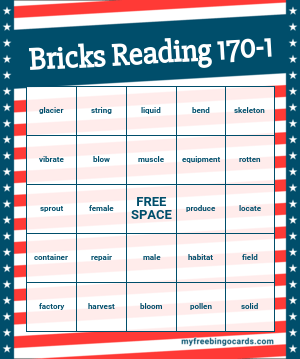 Bricks Reading 170-1 Bingo