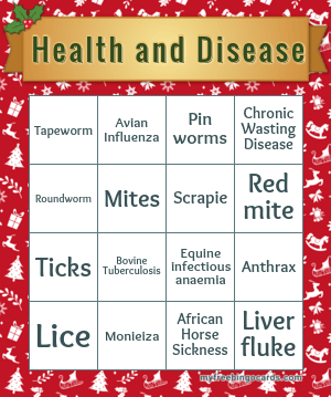 Health and Disease Bingo