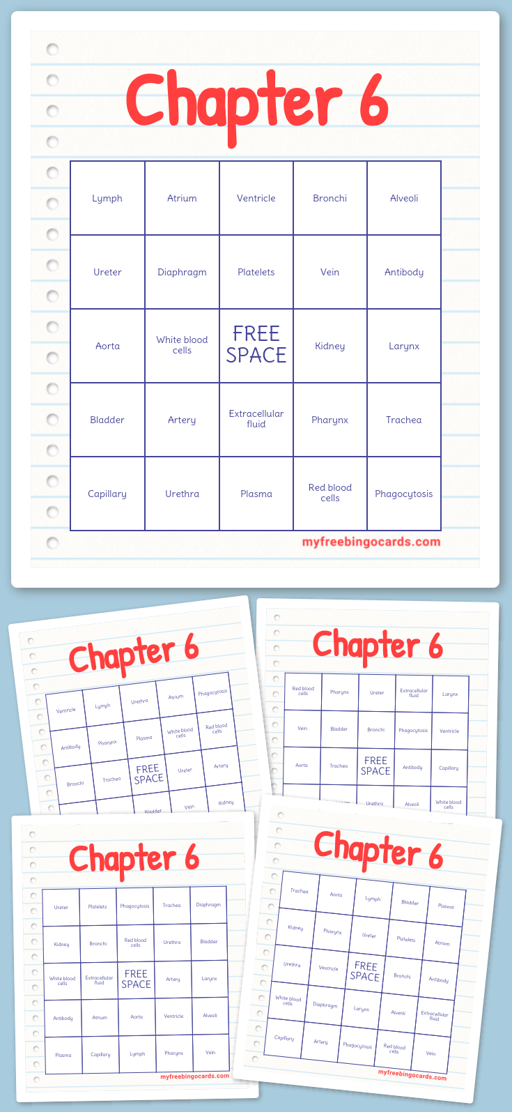 Virtual Chapter 6 Bingo
