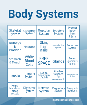 Body Systems Bingo