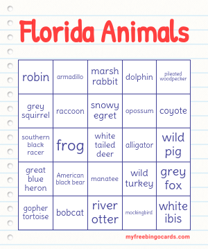 Florida Animals Bingo