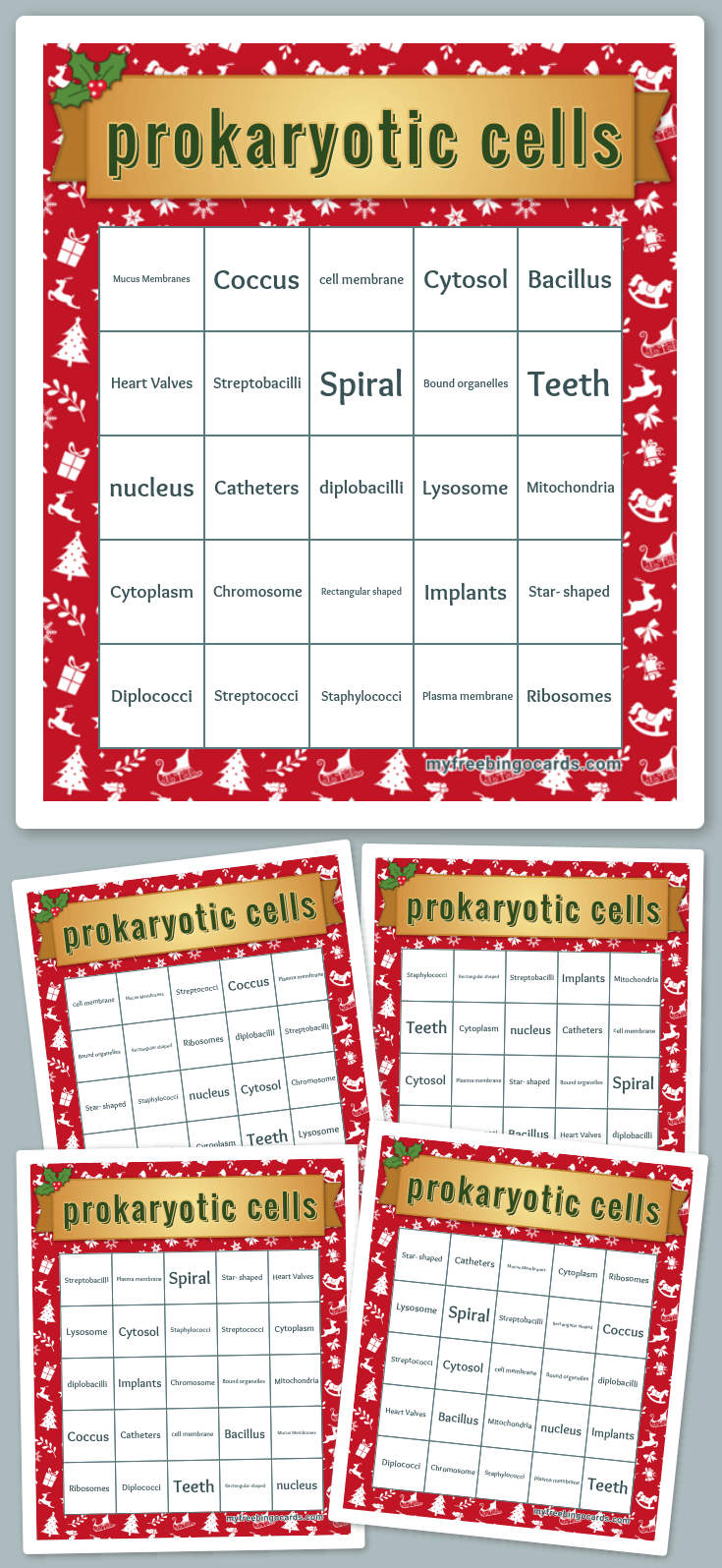 Virtual prokaryotic cells bingo