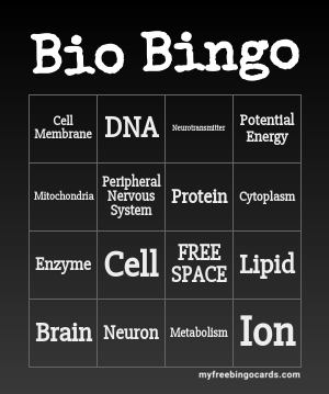 Bio Bingo