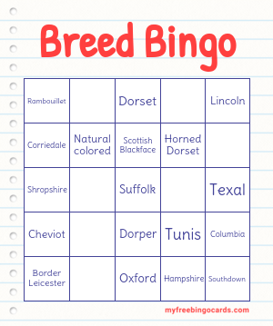 Breed Bingo