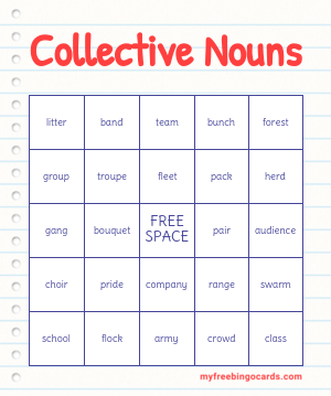 Collective Nouns Bingo