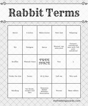 Rabbit Terms Bingo