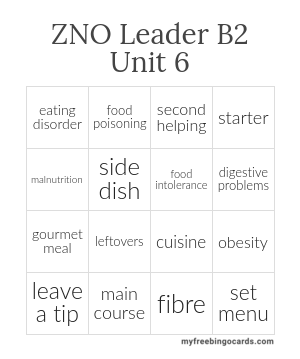 ZNO Leader B2 Unit 6 Bingo