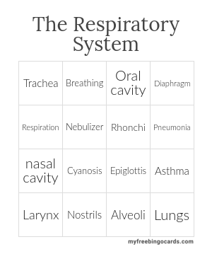 The Respiratory System Bingo