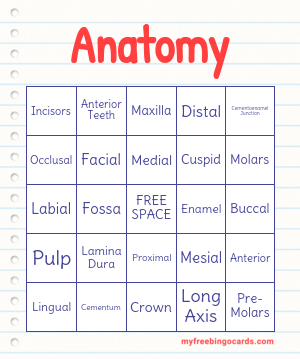 Anatomy Bingo