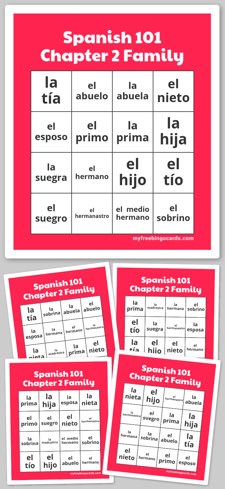 Virtual Spanish 101 Chapter 2 Family Bingo