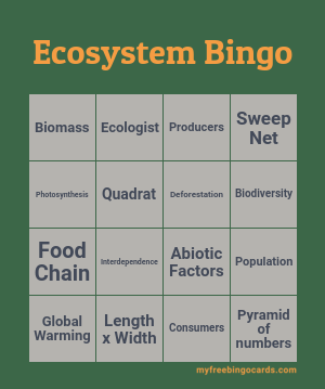 Ecosystem Bingo