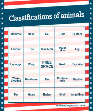 Classifications of animals Bingo