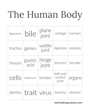 The Human Body Bingo