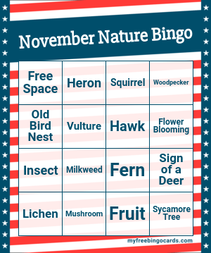 November Nature Bingo