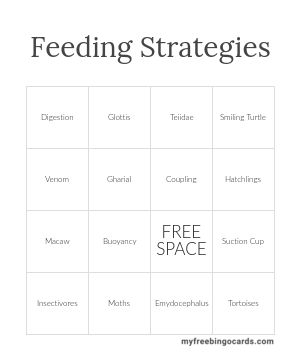 Feeding Strategies Bingo