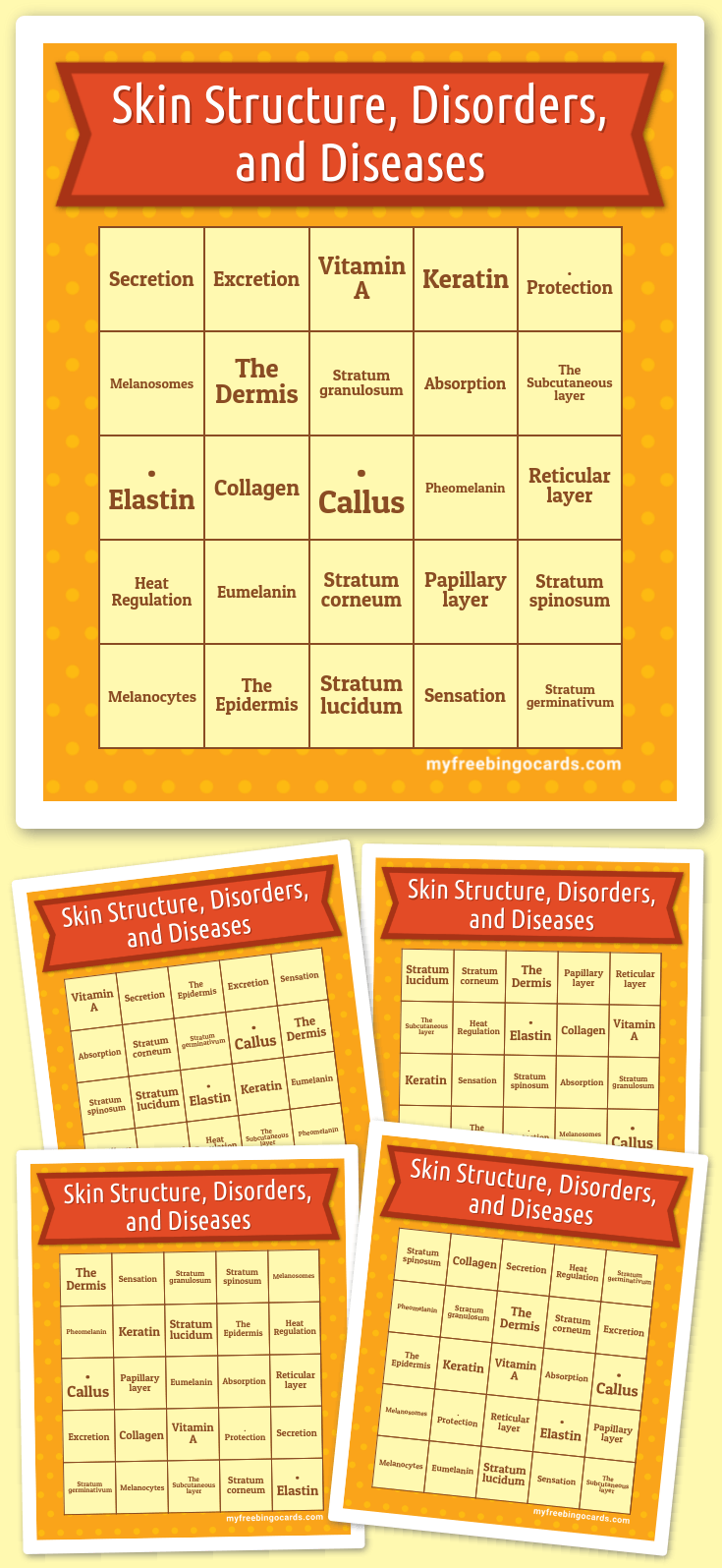 Virtual Skin Structure, Disorders, and Diseases Bingo
