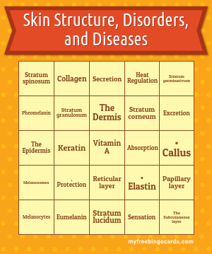 Skin Structure, Disorders, and Diseases Bingo