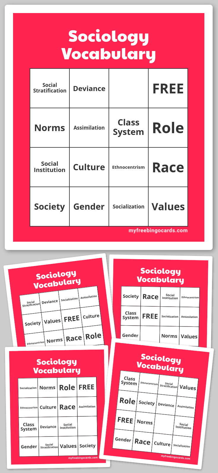 Virtual Sociology Vocabulary Bingo