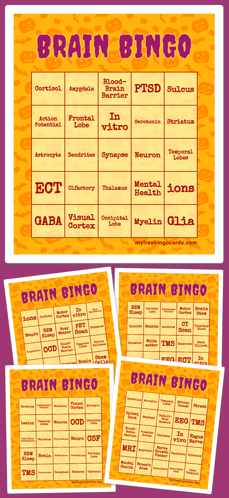 Virtual BRAIN BINGO