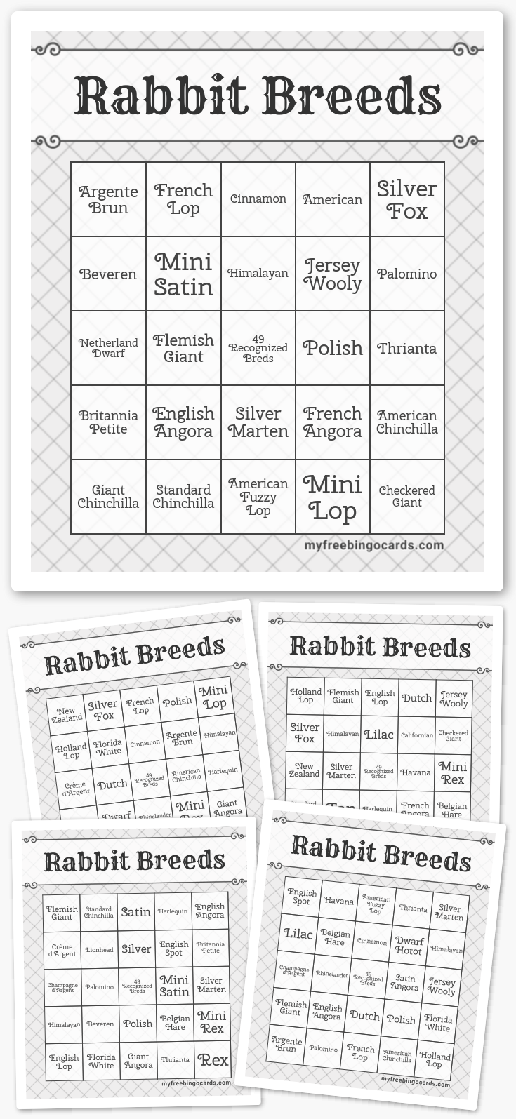 Virtual Rabbit Breeds Bingo