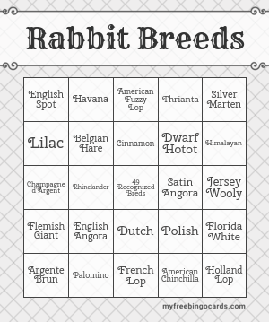 Rabbit Breeds Bingo