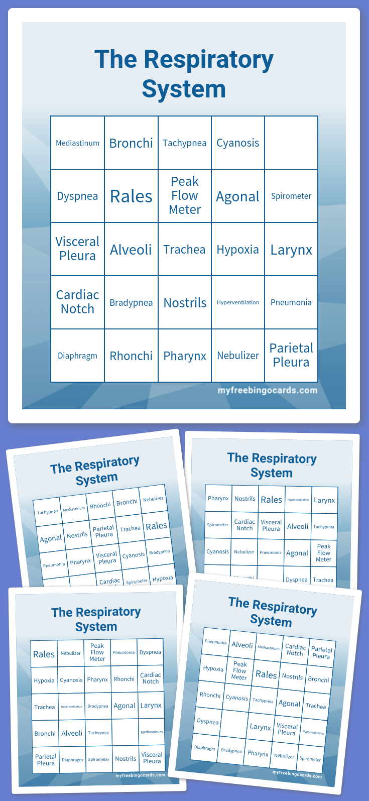 Virtual The Respiratory System Bingo
