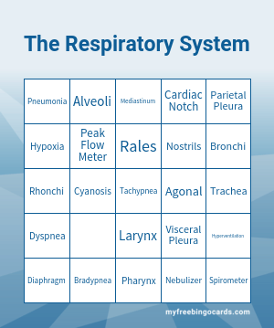 The Respiratory System Bingo