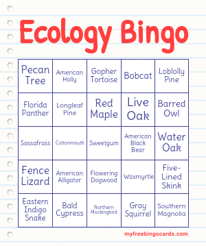 Ecology Bingo