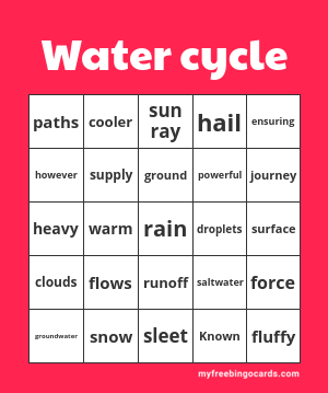 Water cycle Bingo