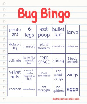 Bug Bingo