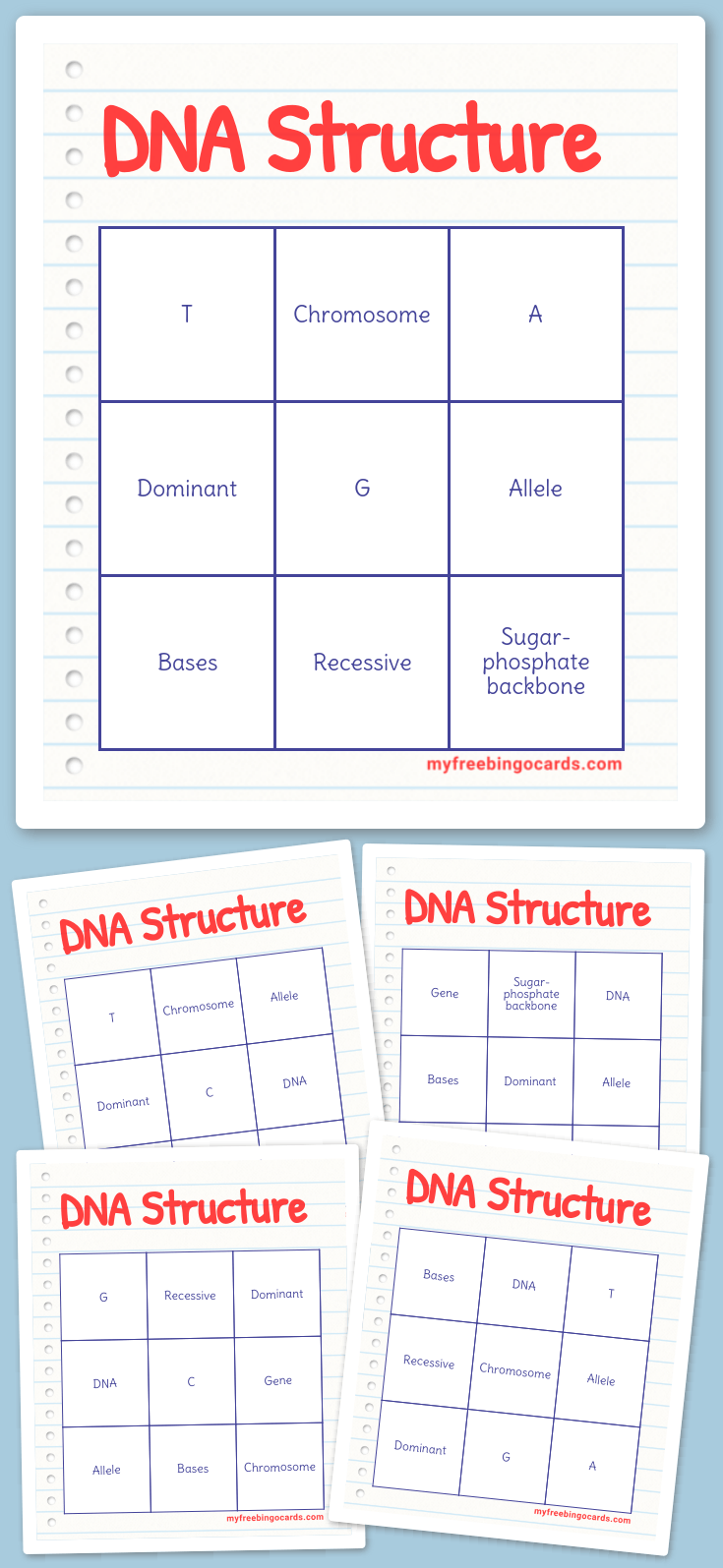Virtual DNA Structure Bingo