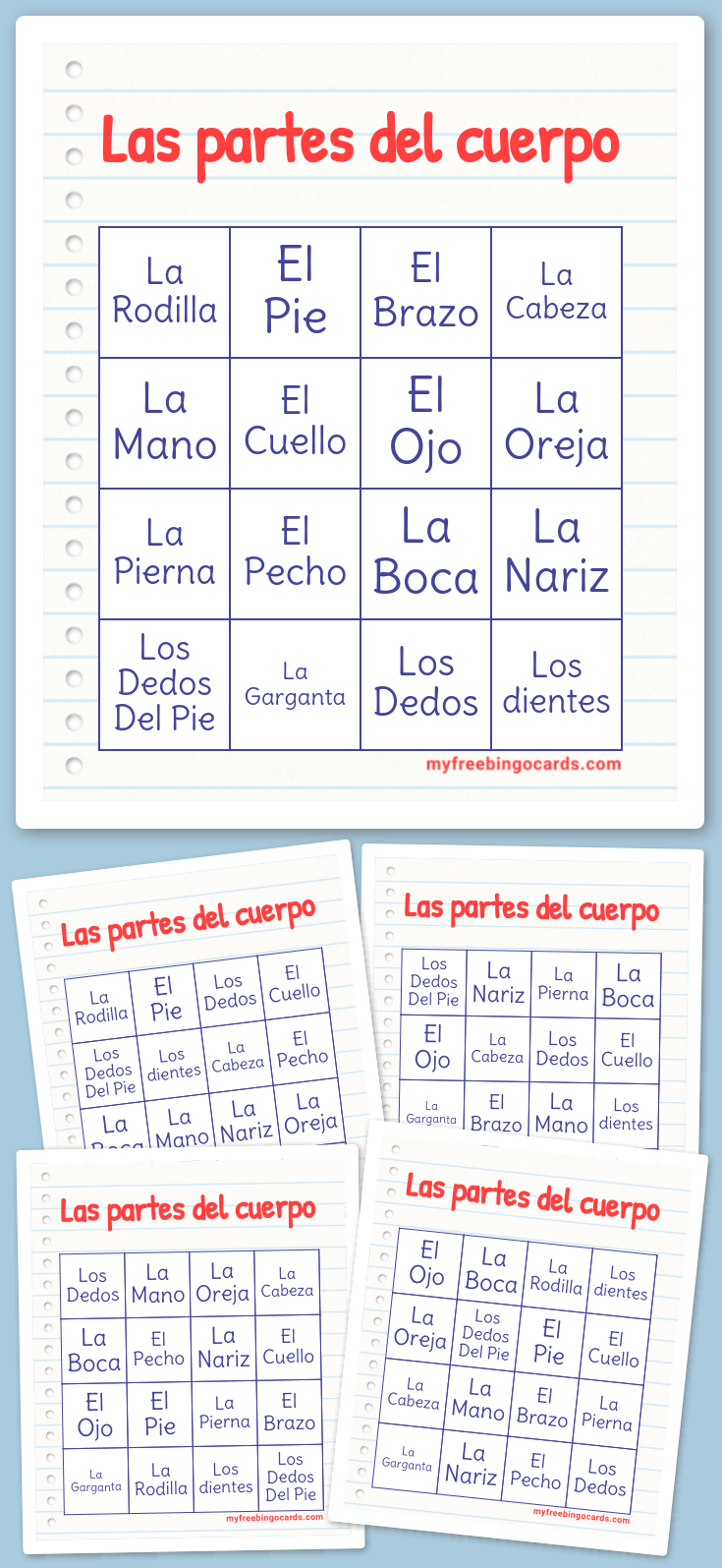 Virtual Las partes del cuerpo Bingo