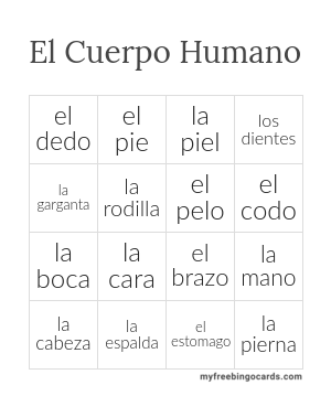 El Cuerpo Humano Bingo