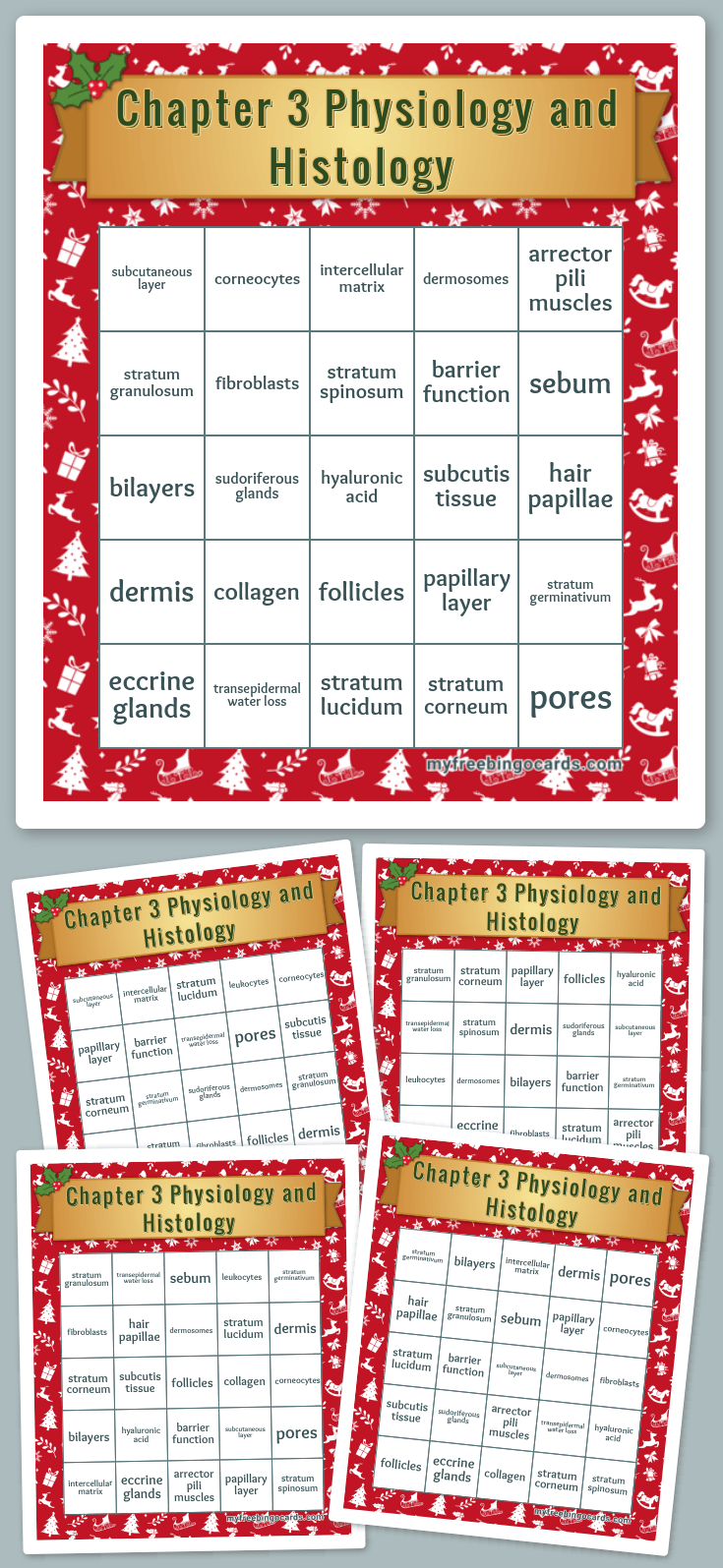 Virtual Chapter 3 Physiology and Histology Bingo