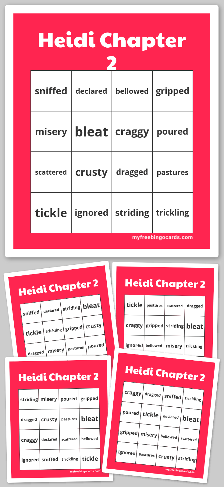 Virtual Heidi Chapter 2 Bingo