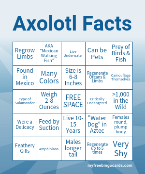 Axolotl Facts Bingo