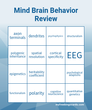 Mind Brain Behavior Review Bingo