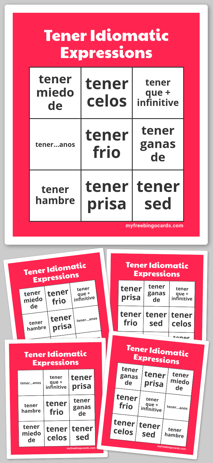 Virtual Tener Idiomatic Expressions Bingo