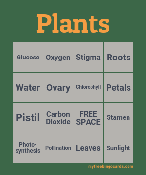 Plants Bingo