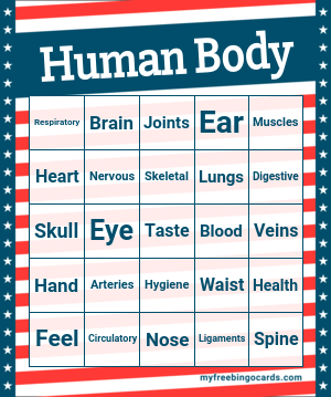 Human Body Bingo