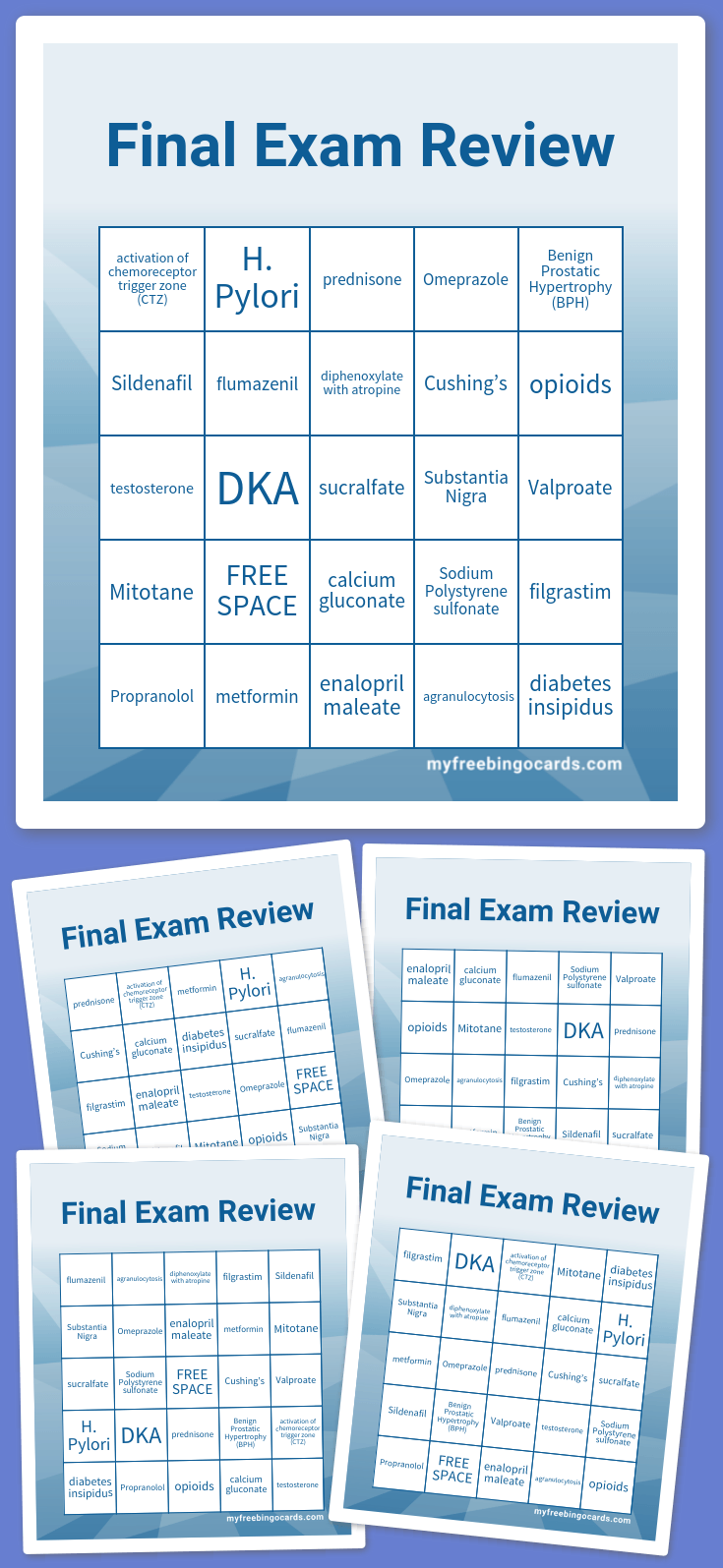 Virtual Final Exam Review Bingo