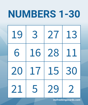 NUMBERS 1-30 BINGO