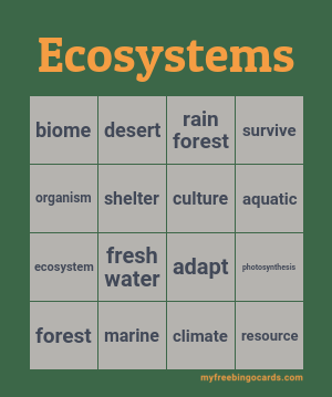 Ecosystems Bingo
