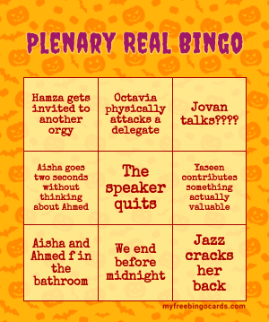 Plenary Real Bingo