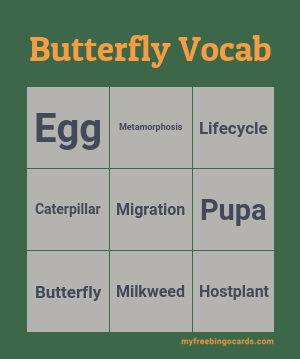 Butterfly Vocab Bingo