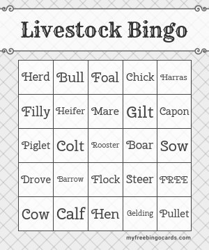 Livestock Bingo