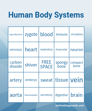 Human Body Systems Bingo