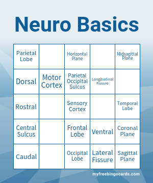 Neuro Basics Bingo