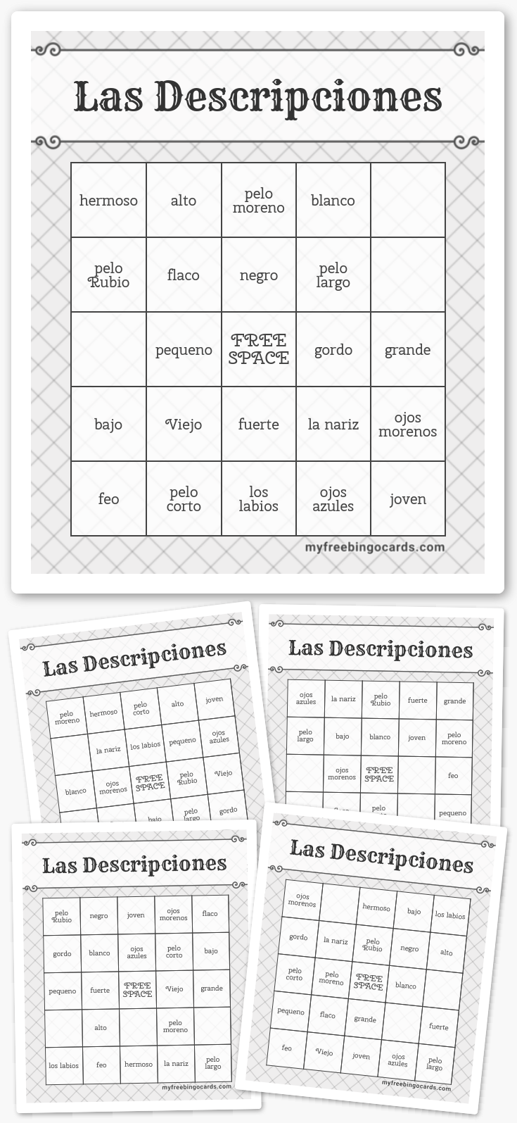 Virtual Las Descripciones Bingo