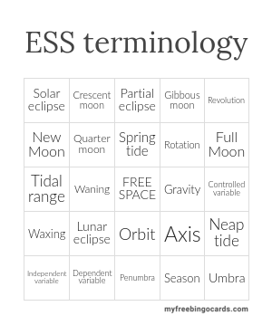 ESS terminology Bingo